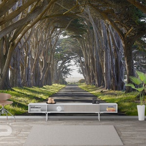 Tree Tunnel WALL MURAL, Coastal Road Wall Covering, Green Road Trees ...