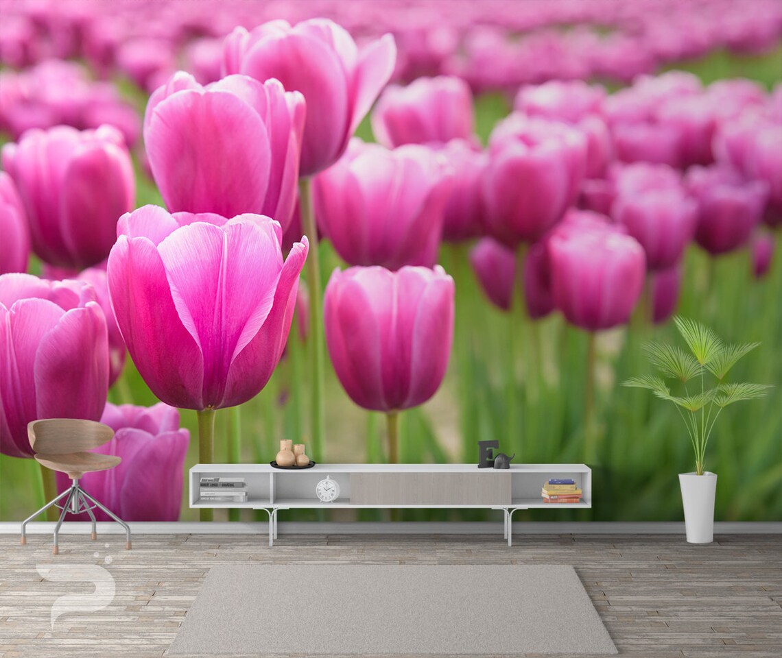 Pink Tulips WALL MURAL Floral Wallpaper Spring Garden | Etsy