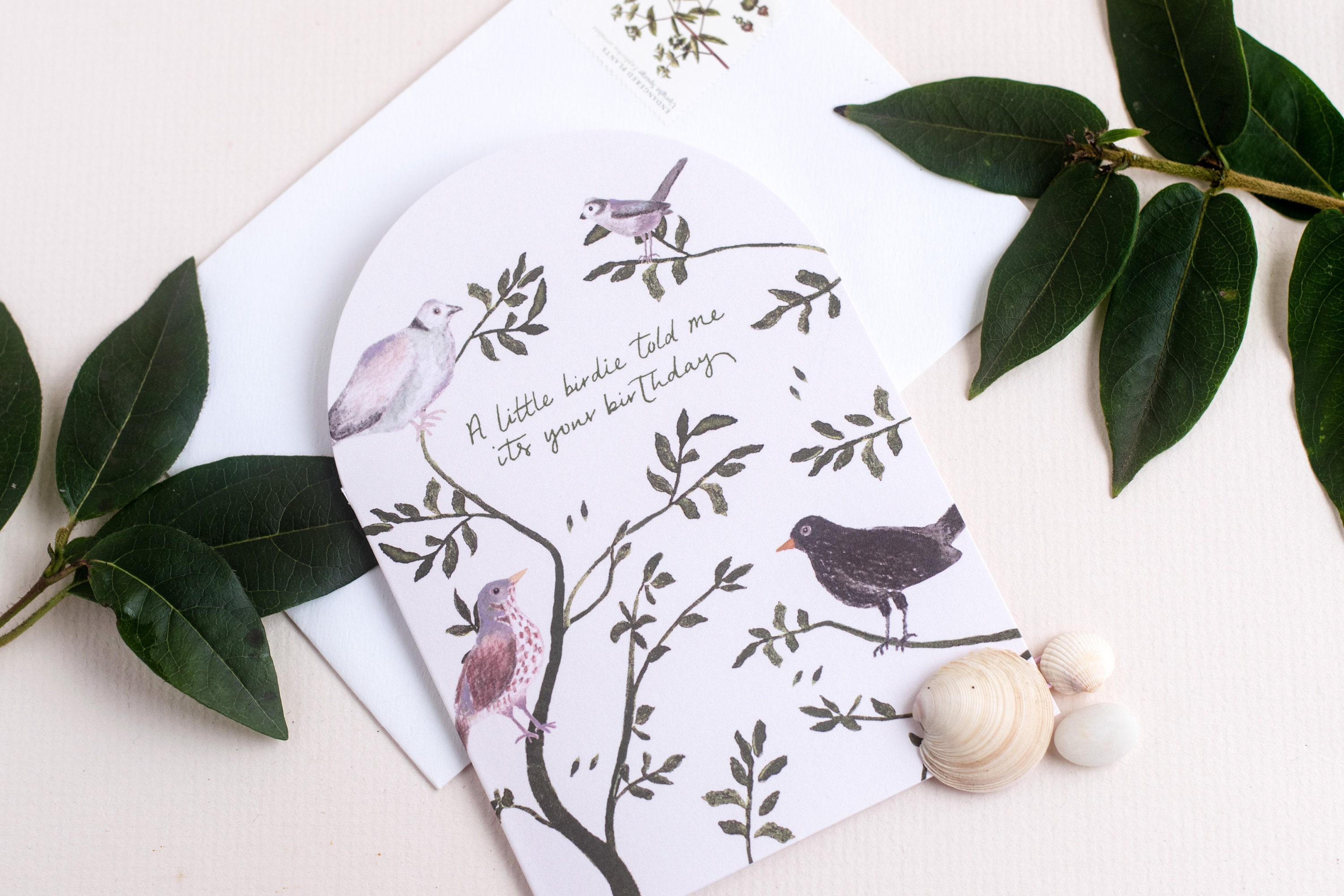 Birds Birthday Card Happy Birthday Bird Card Nature Birthday - Etsy