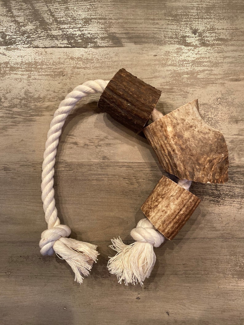 Knotty Antler Dog Toy, 100% Natural Elk Antler & Cotton Rope **oregon ...