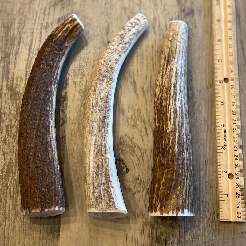 X Large Elk Antlers - Etsy