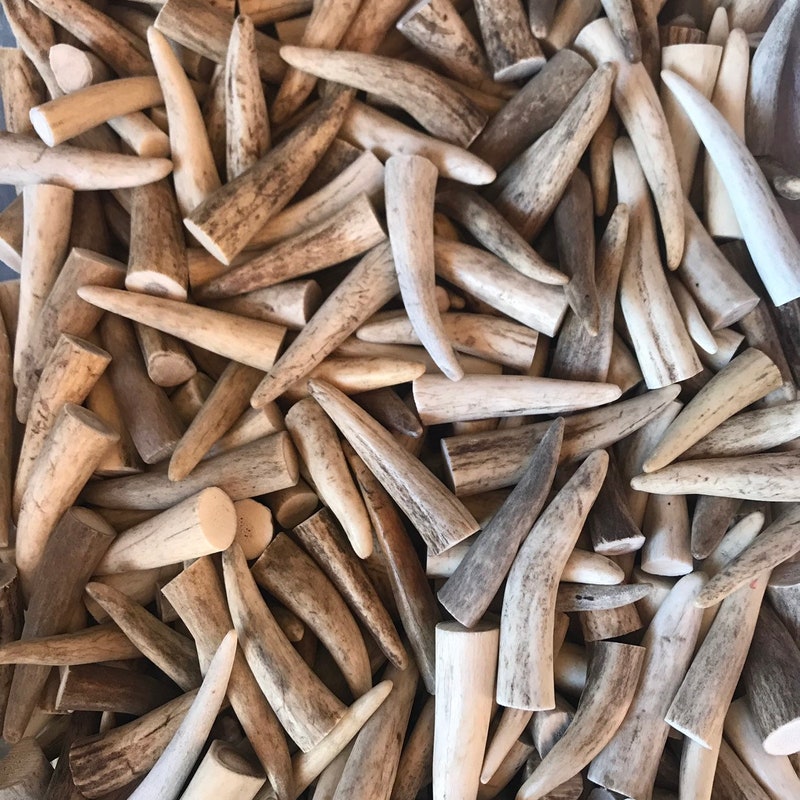 Antler Pieces and Tips - Etsy
