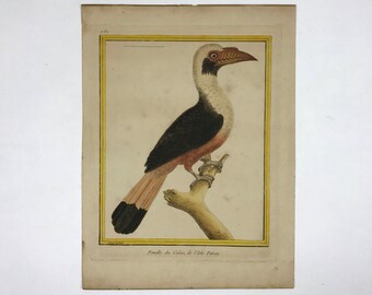 French martinet | Etsy