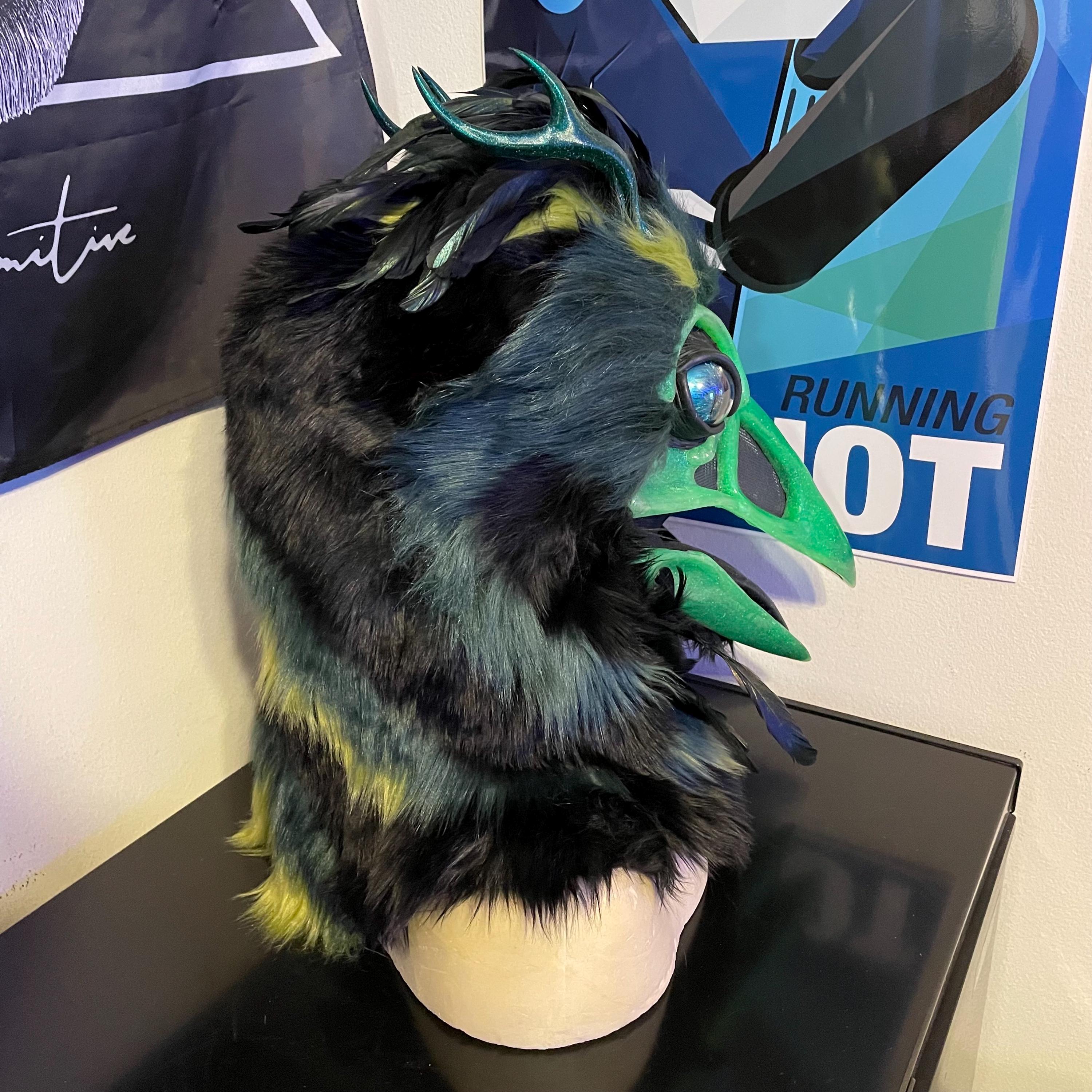 Green Skull Crow Fursuit Premade Head Tail Armsleeves & Gloves - Etsy