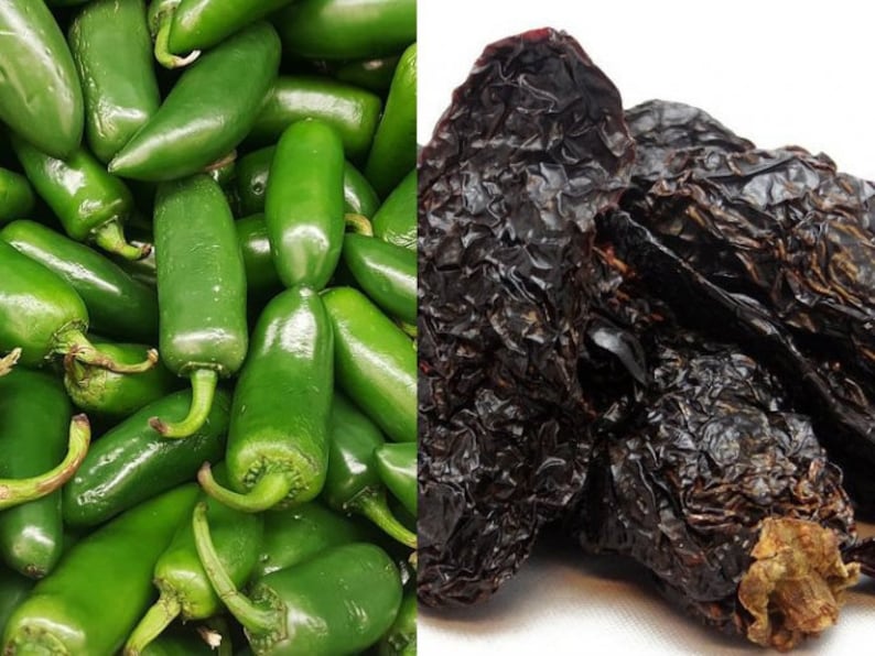 1 ORGANIC Jalapeno/chipotle Pepper Live Plants 4pots | Etsy