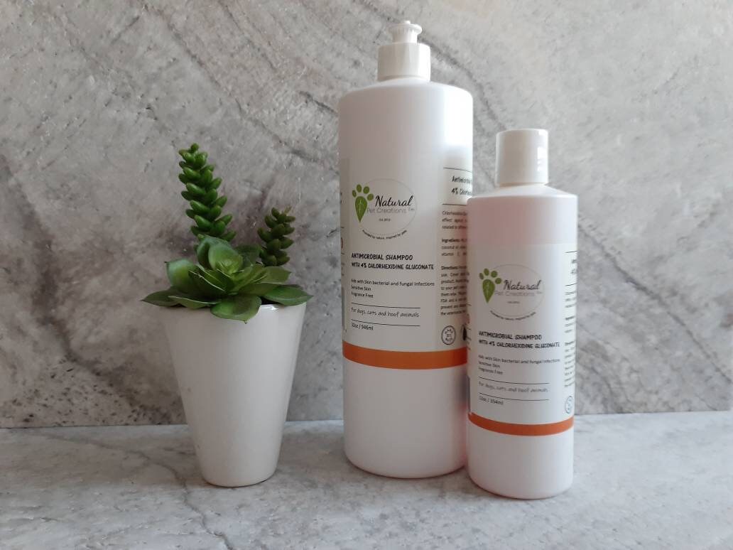 Antimicrobial Shampoo W 4% Chlorhexidine Gluconate 12, 16, 32oz - Etsy
