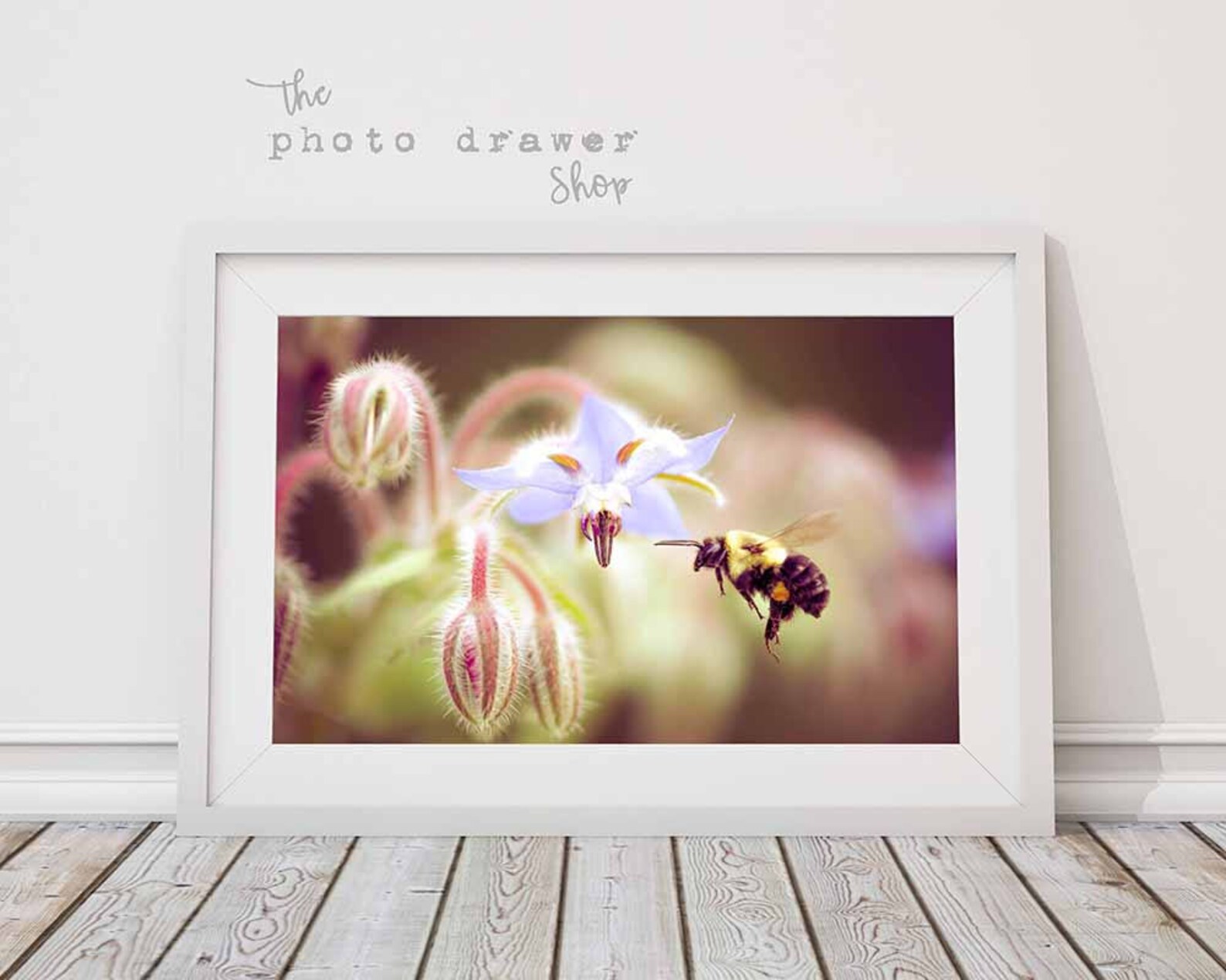 Bumble Bee Print, Botanical Print, Nature Print, Floral Print ...