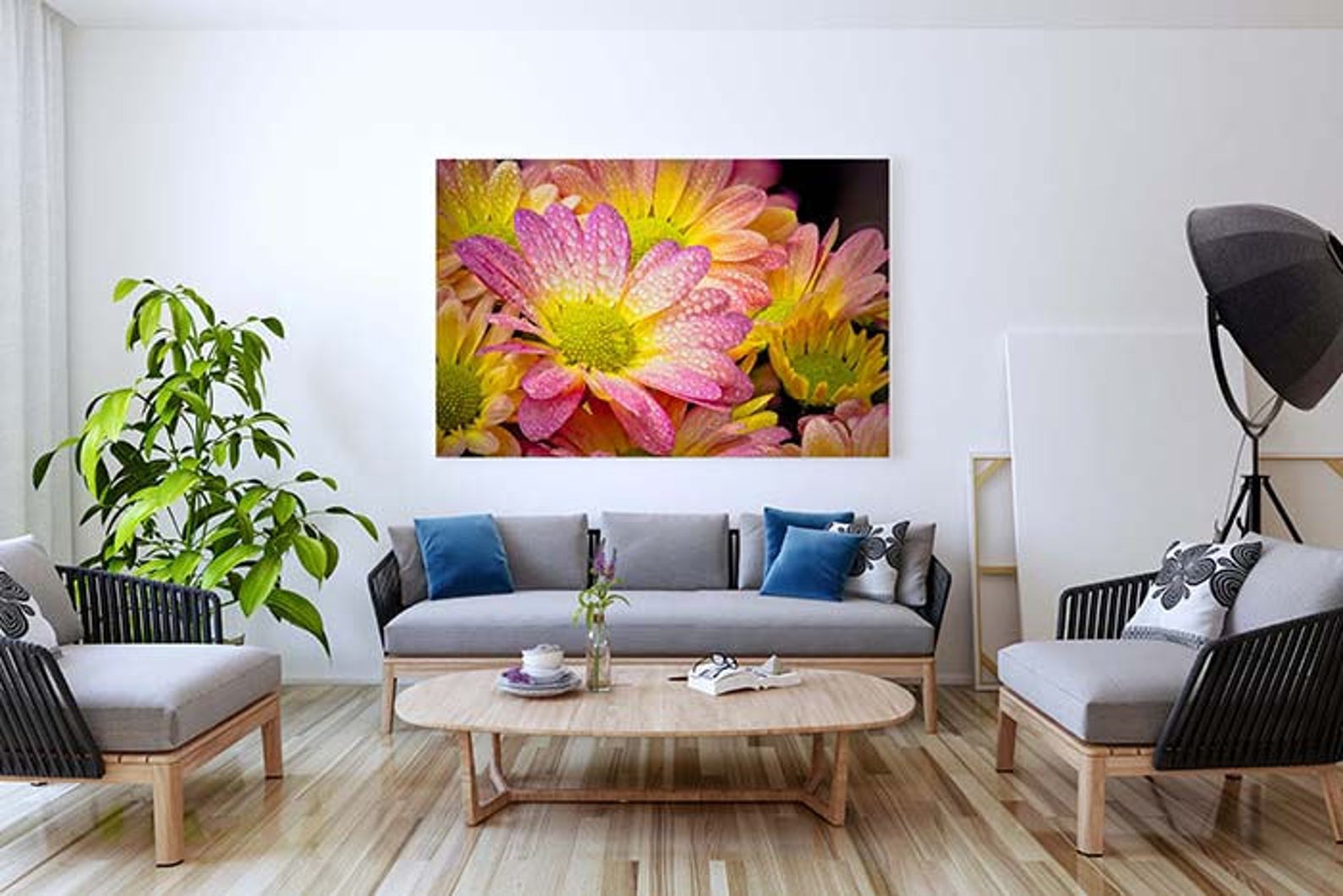Floral Print, Daisies, Nature Print, Printable Wall Art, Botanical ...