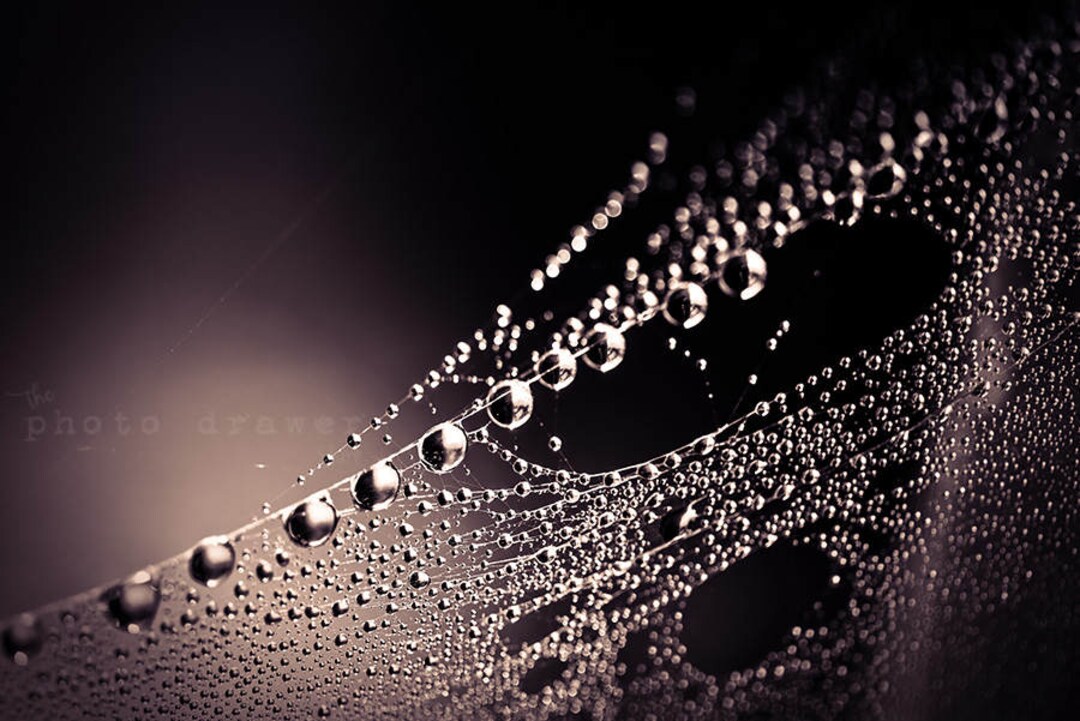 Water Droplets Print, Fine Art Print, Abstract Art Print, Printable ...