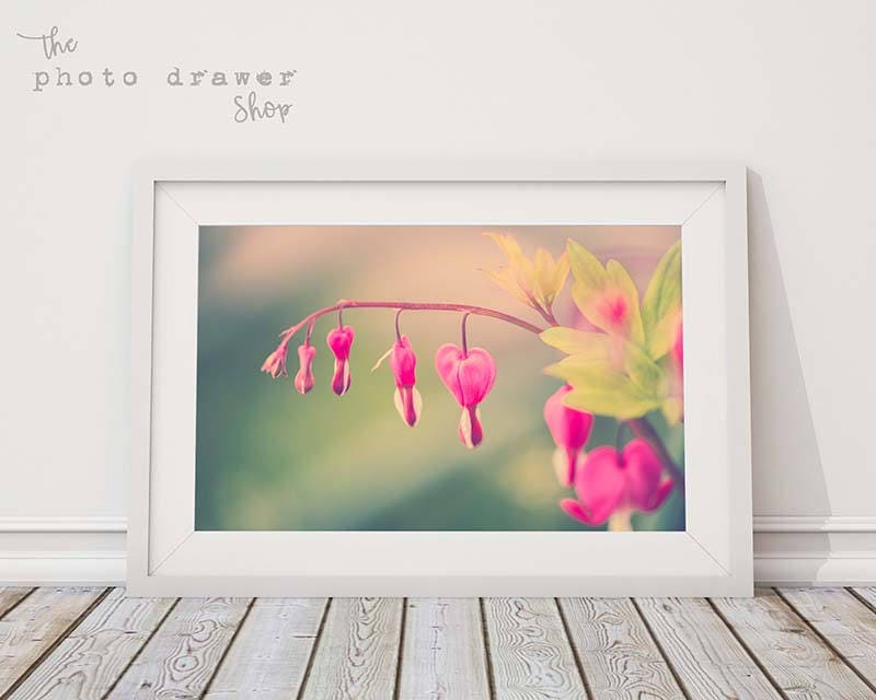 Instant Download, Printable Wall Art, Garden Flower, Bleeding Hearts ...