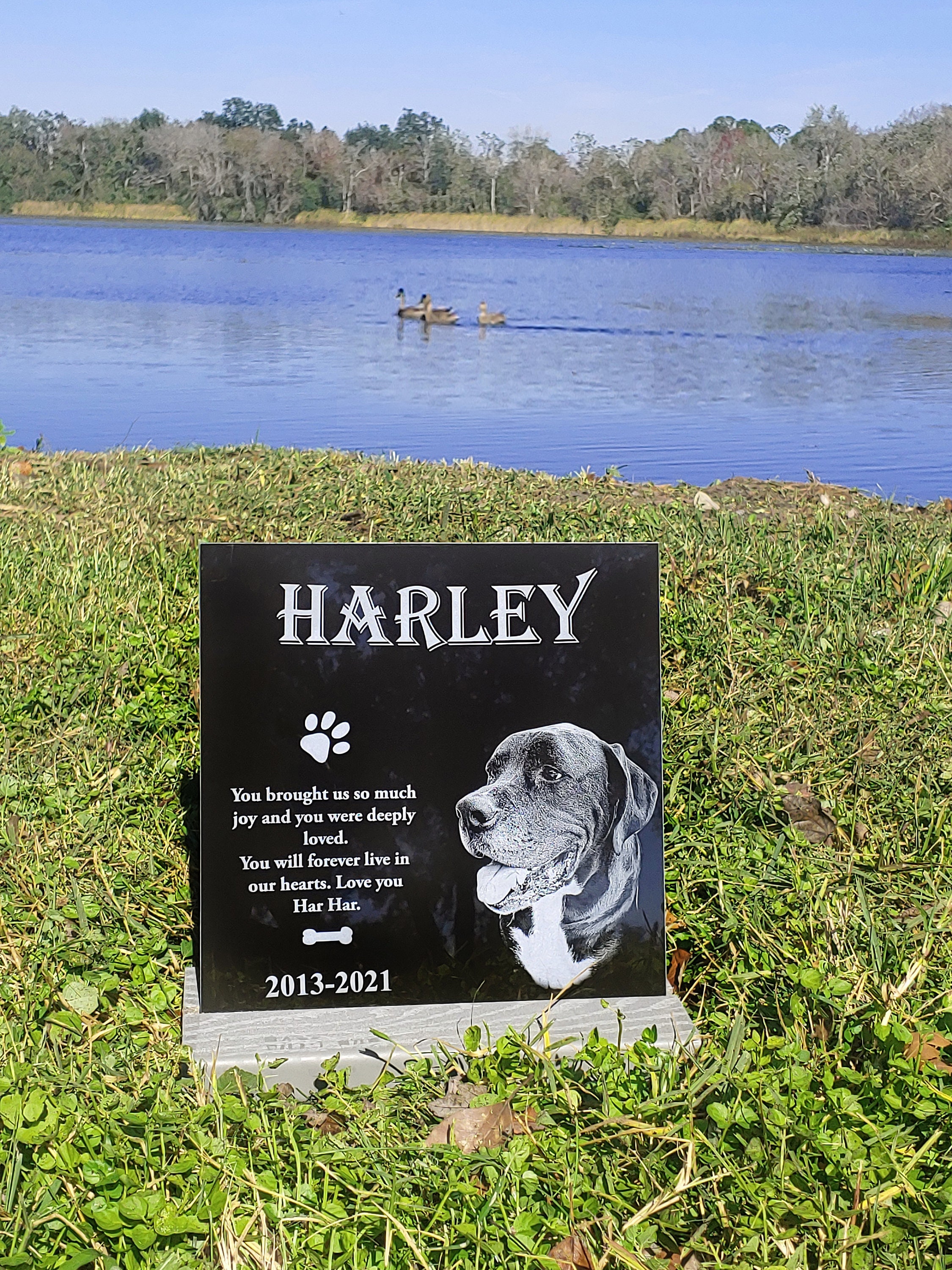 Large Memorial 12x12 Dog Cat Pet - Etsy