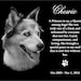 Large 12"x9" Personalized Pet Headstone, Tombstone Laser Engraved on ...