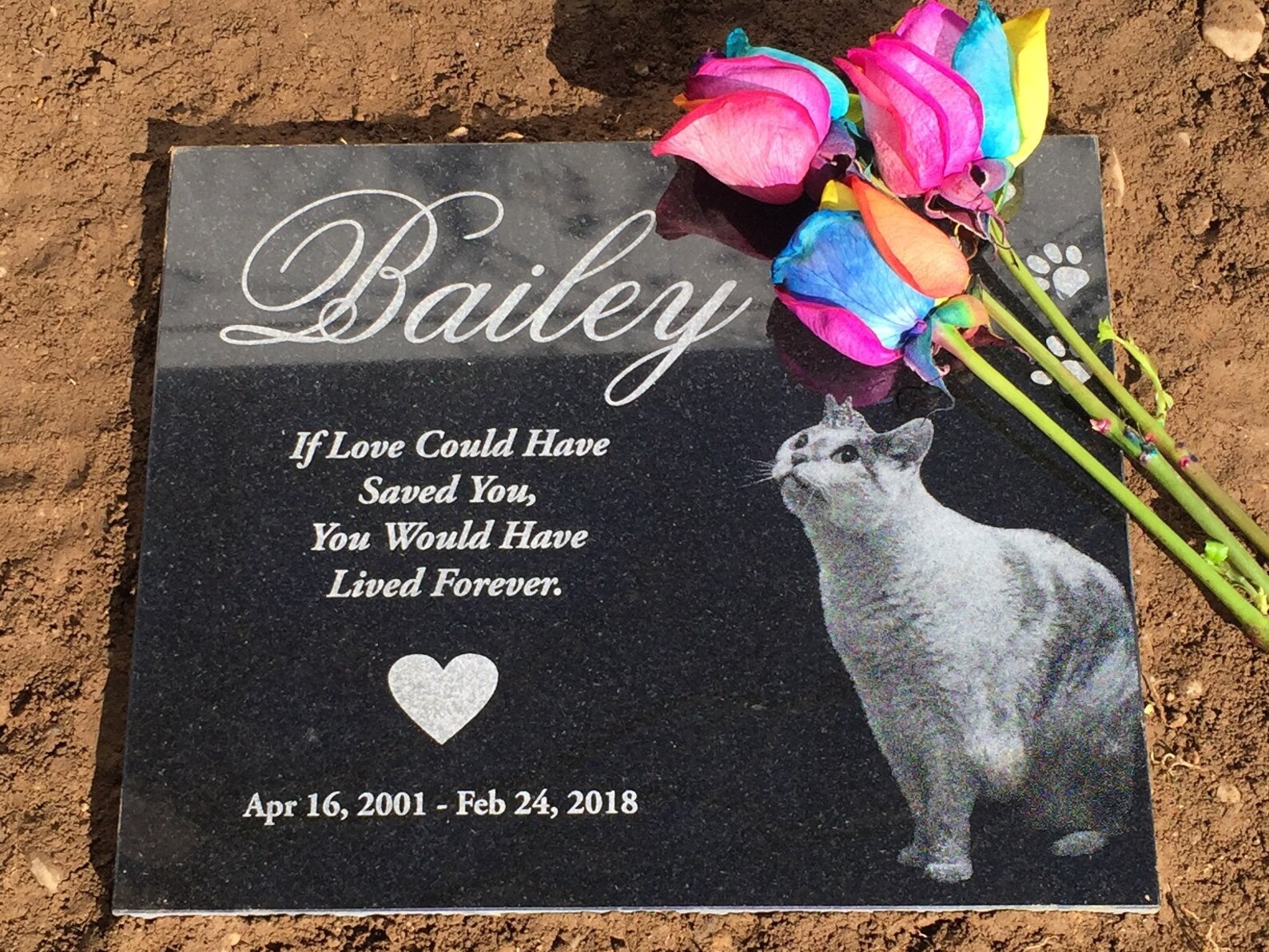12x12 Personalized Cat Pet Headstone, Tombstone Laser Engraved, Grave ...
