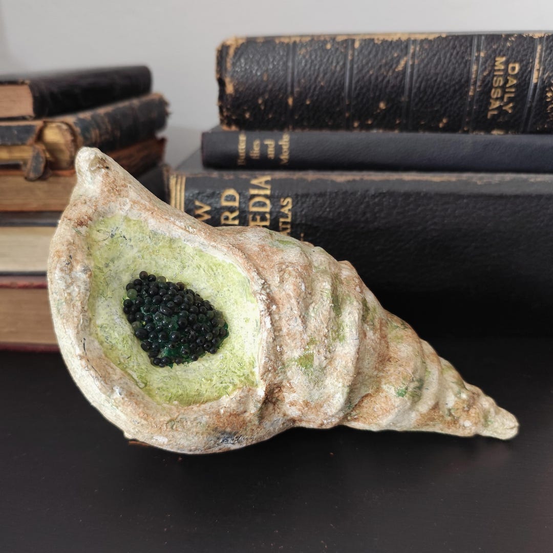 Charmed Prop Replica Auger Shell - Etsy