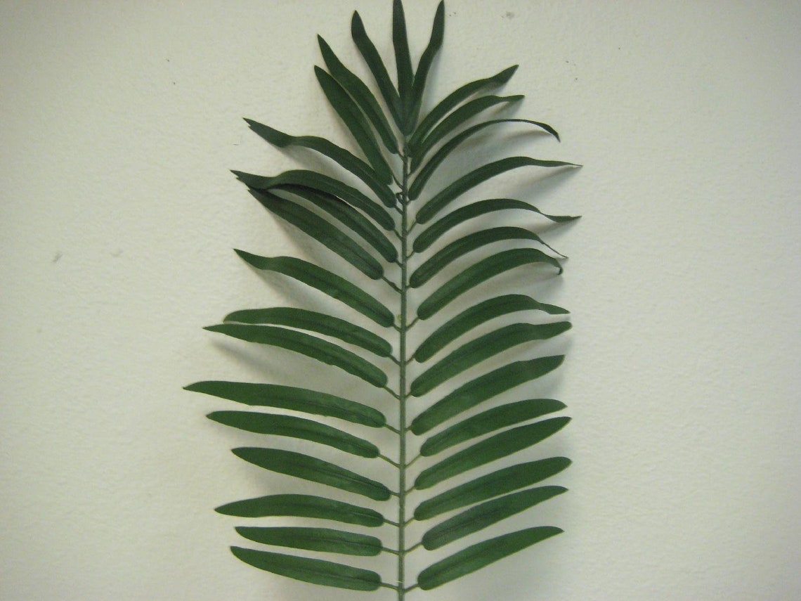 Jade Palm Leaf 27 Sprays Artificial Silk Stems Greenery - Etsy