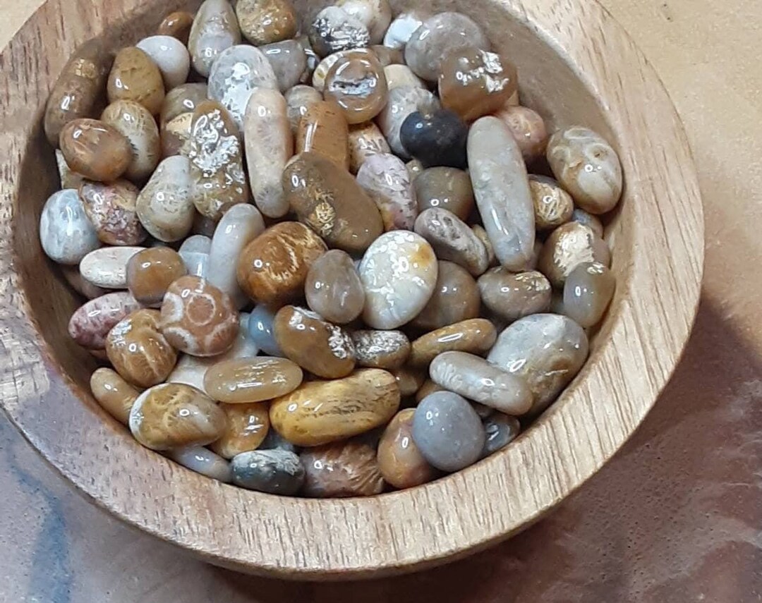 Coral Jasper Tumbled Chips - One Ounce|jasper Stone|coral Jasper Chips ...