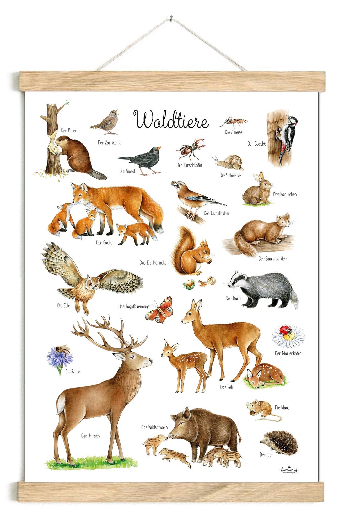 FOREST ANIMALS Poster 50 X 70 Cm Unframed Animal Poster - Etsy