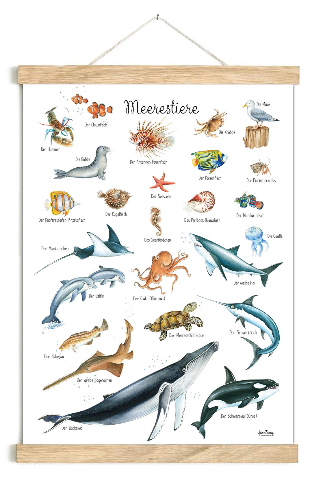 SEA ANIMALS Poster 50 X 70 Cm Unframed Animal Poster Educational Poster ...