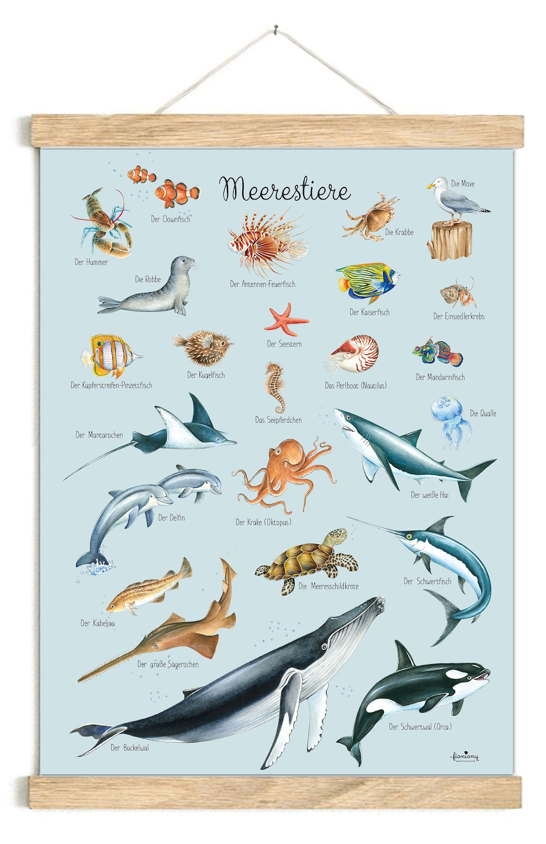 SEA ANIMALS BLUE Poster 50 X 70 Cm Unframed Animal Poster Learning ...