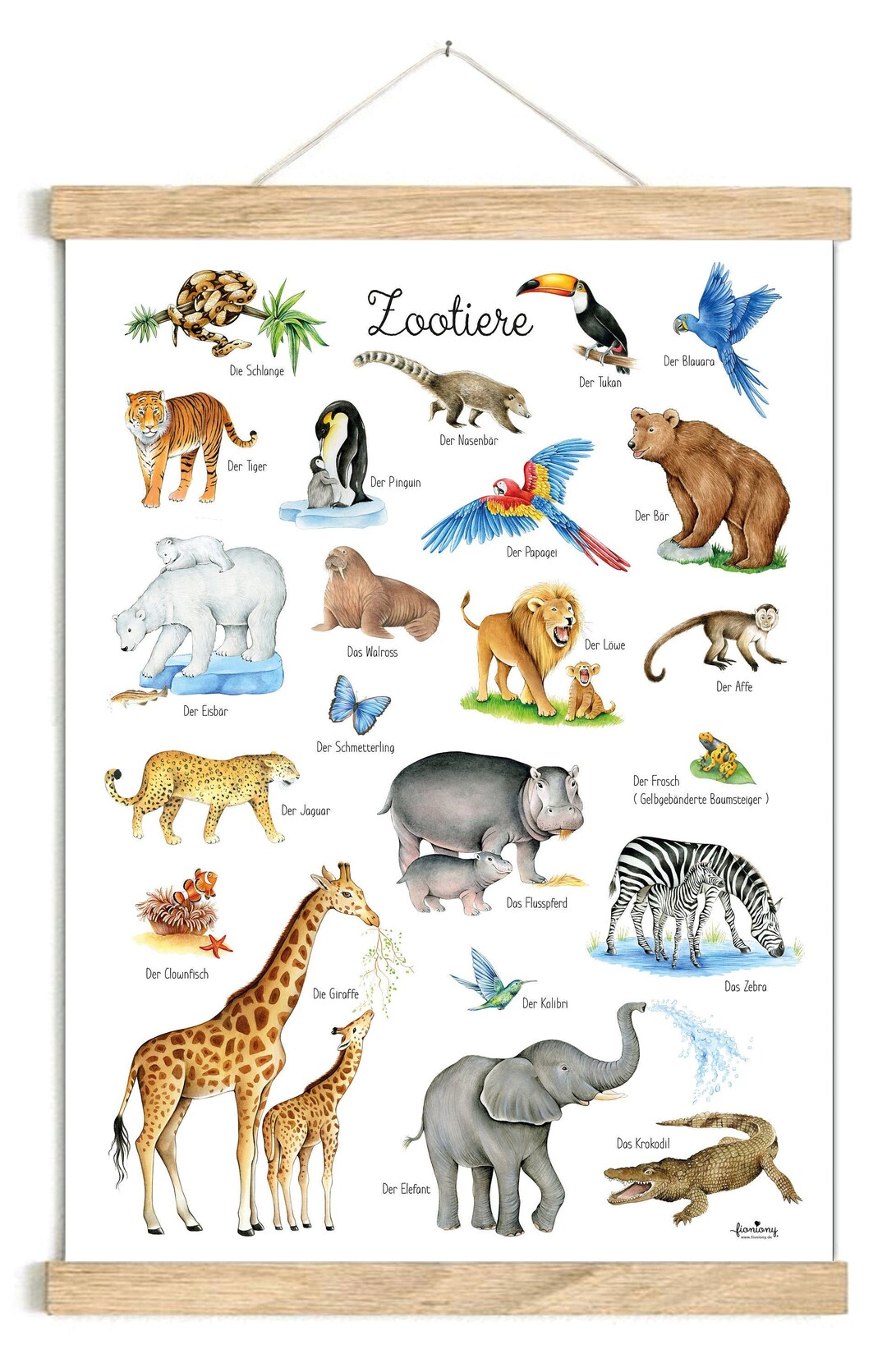 Zoo Animals Poster 50 X 70 Cm Unframed Learning Poster Alphabet ...