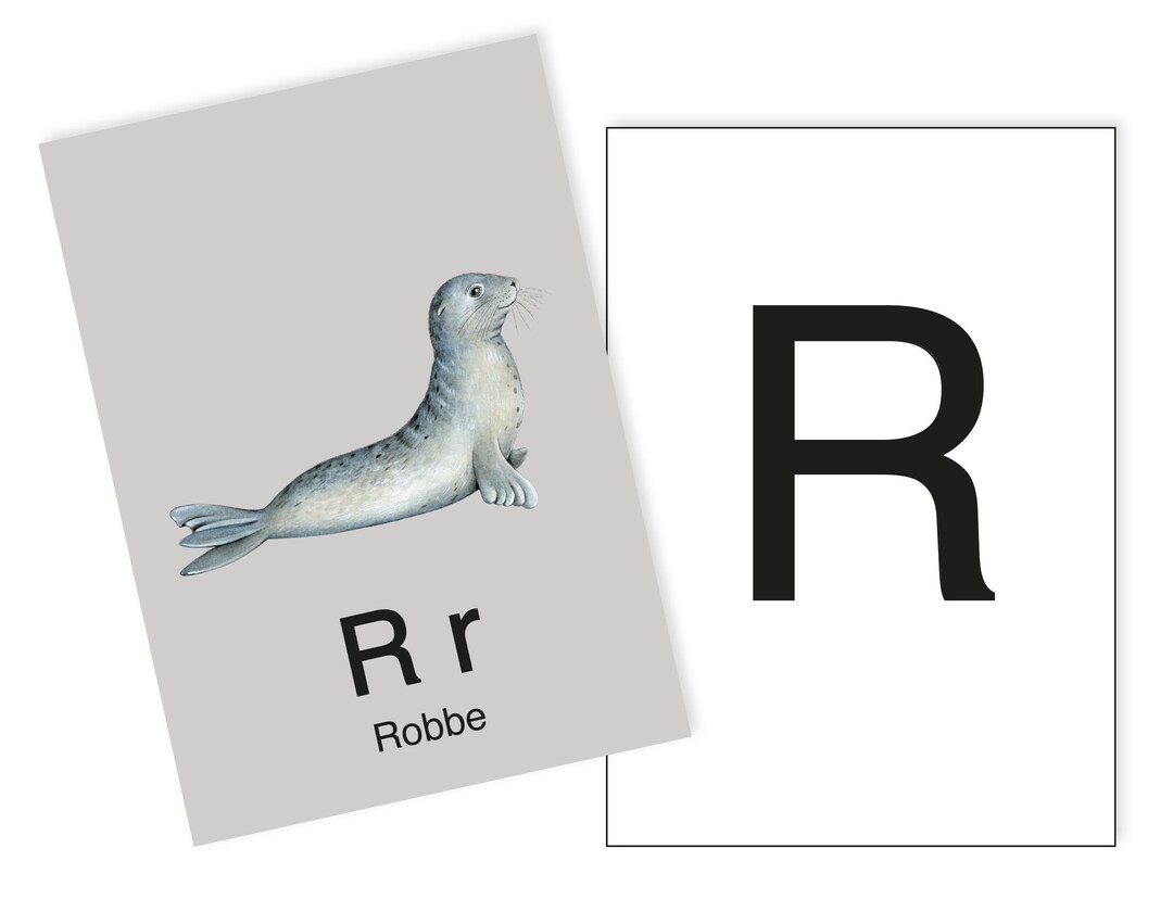 1 Postkarte R wie Robbe Ergänzungskarte zum ABC Karten Set - Etsy.de