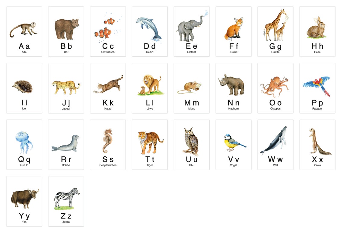 26 ABC Alphabet Karten WEIß Lernkarten Buchstaben Lernspiel Safari ...
