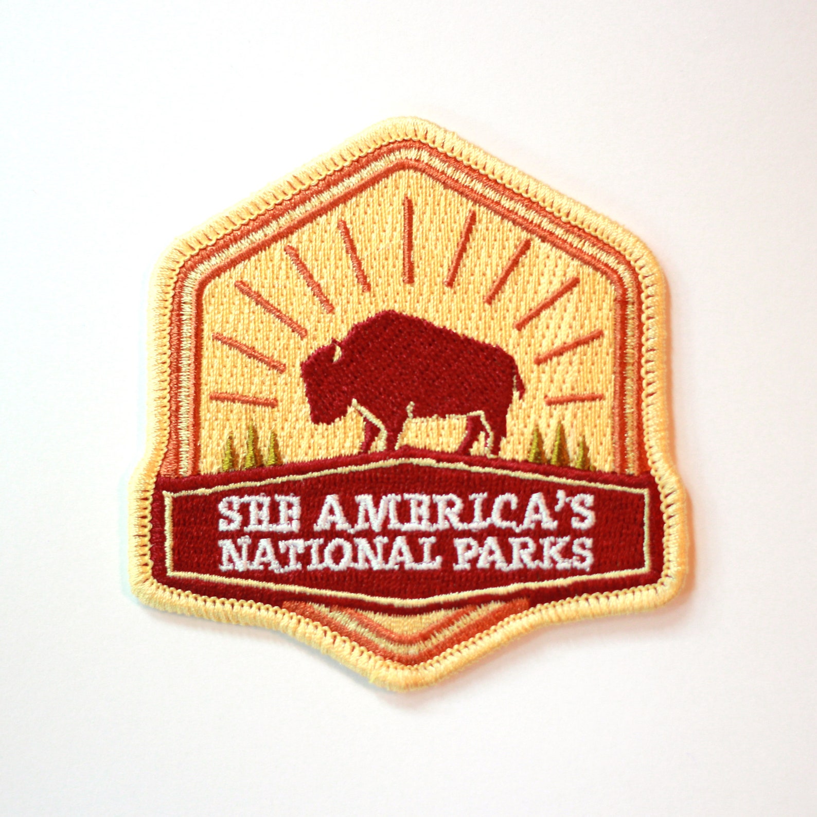 Official NPS Souvenir Patch - See America's National Parks - Perfect ...