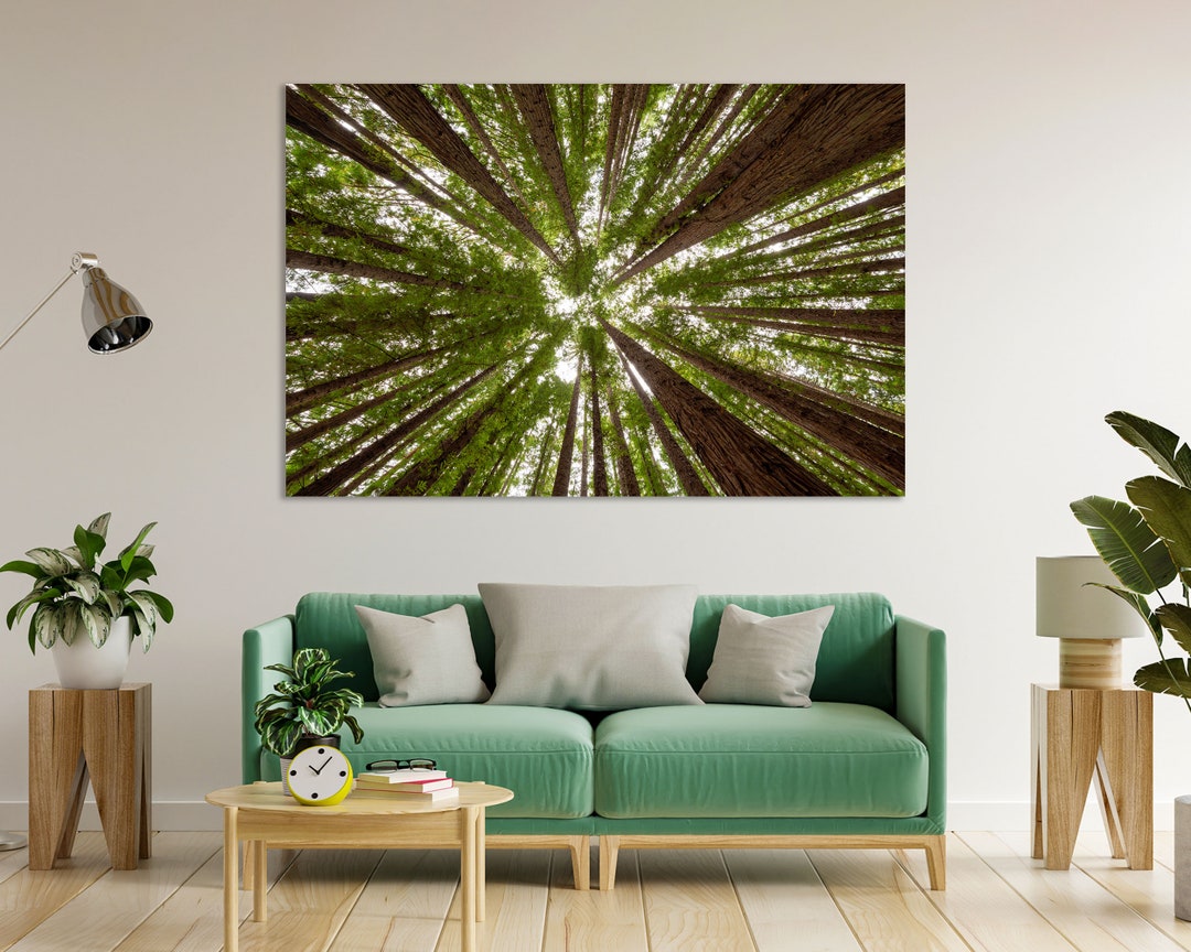 Wooden Decor for Wall, Redwood Forest for Wall Decor, Tall Trees Print ...