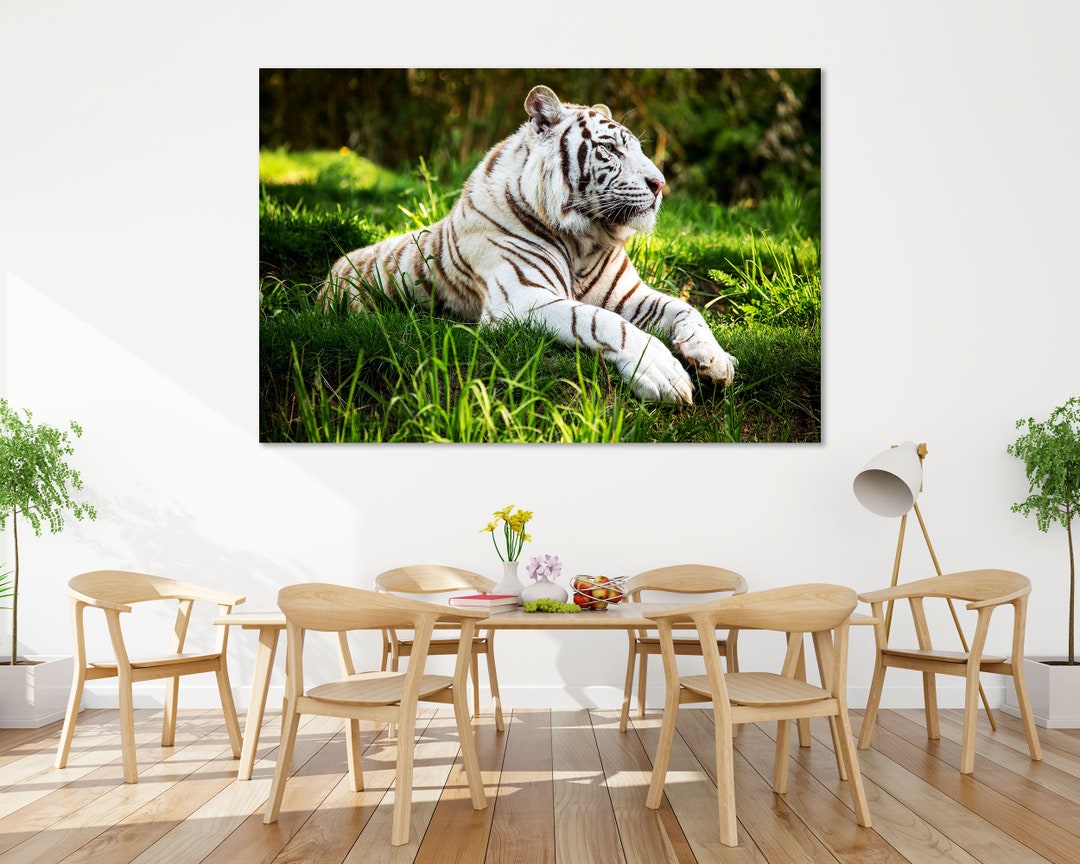 White Tiger Wall Decoration, Tiger Print on Canvas, Tiger Decor for ...