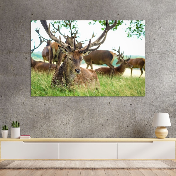 Elk Picture - Etsy