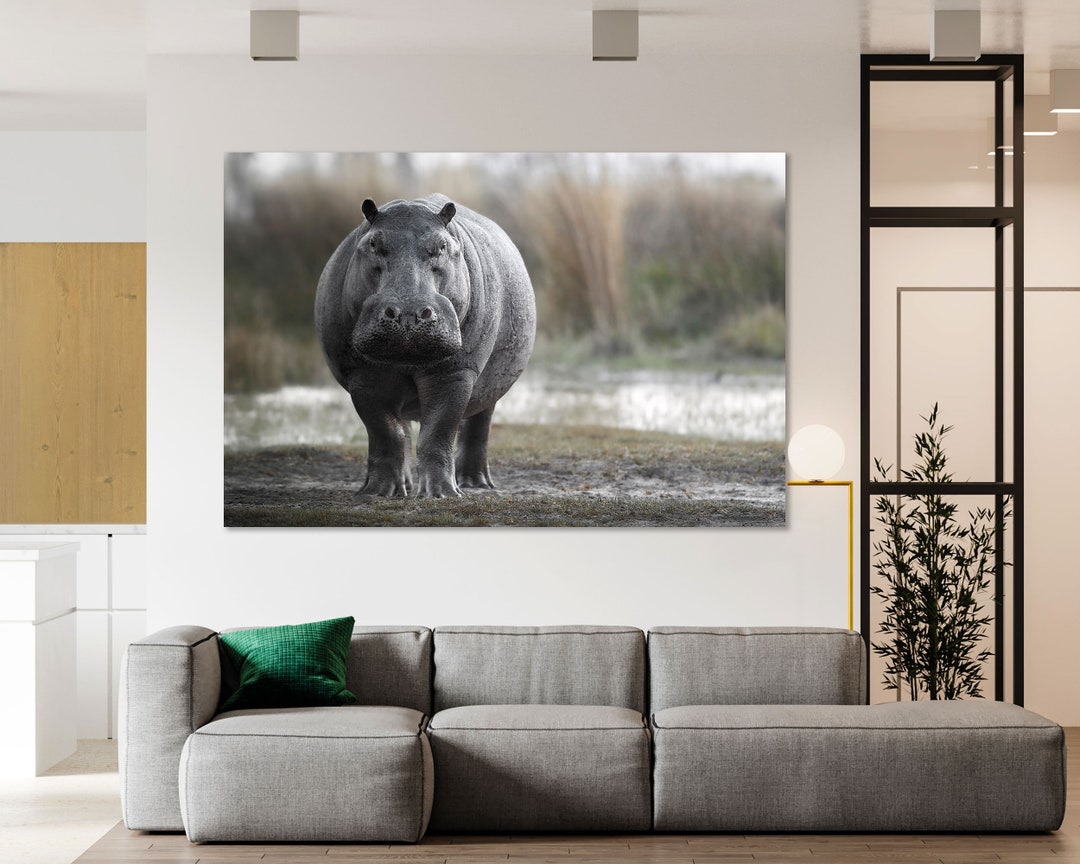Hippopotamus Print Canvas, Hippo Art for Wall, Big Animals Large Wall ...