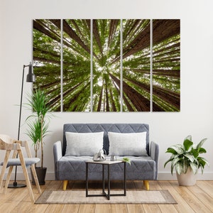 Wooden Decor for Wall, Redwood Forest for Wall Decor, Tall Trees Print ...