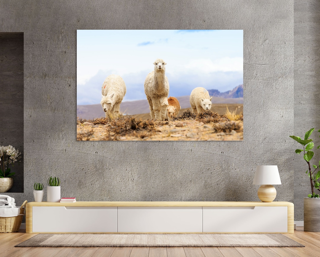 Llamas Print Canvas, Llamas Photo Print, Llama Original Wall Decor ...