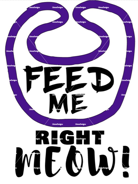 Feed Me Right Meow and What Part of Meow Don't You Understand Onesies ...