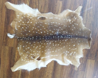 Axis Deer Hide | Etsy