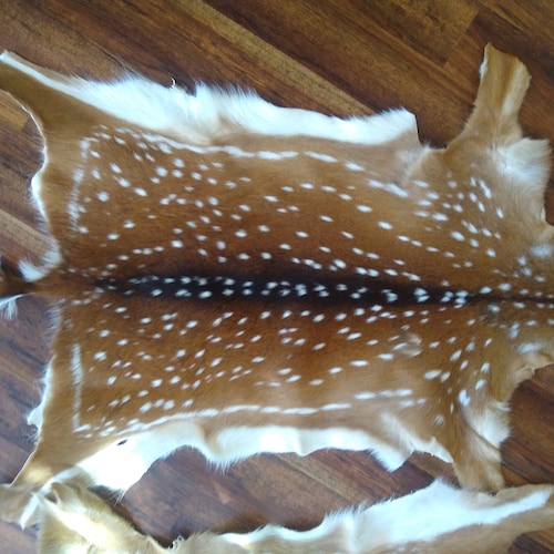 Blue Axis Deer Rug Axis Deer Rug Blue Deer Rug Blue Deer - Etsy