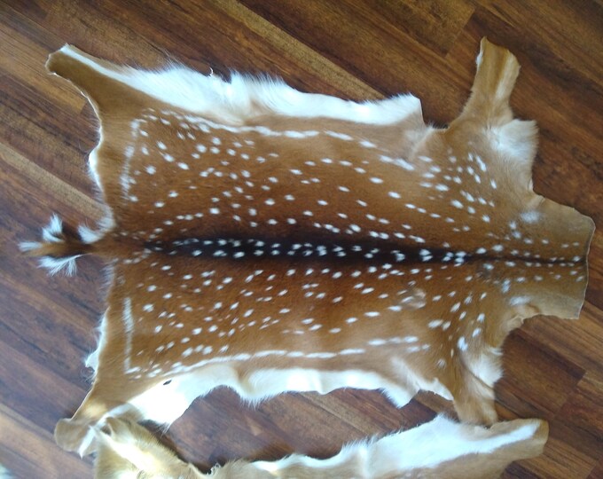 Axis Deer Hides, Rug Grade - Etsy