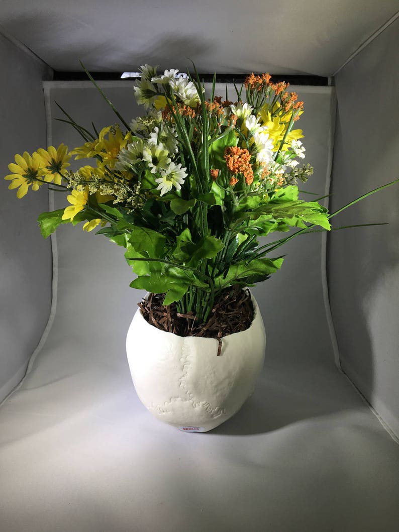 Skull Planter - Etsy