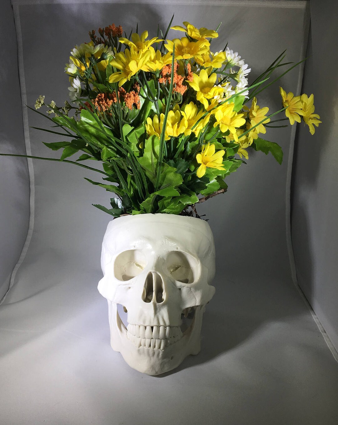 Skull Planter - Etsy