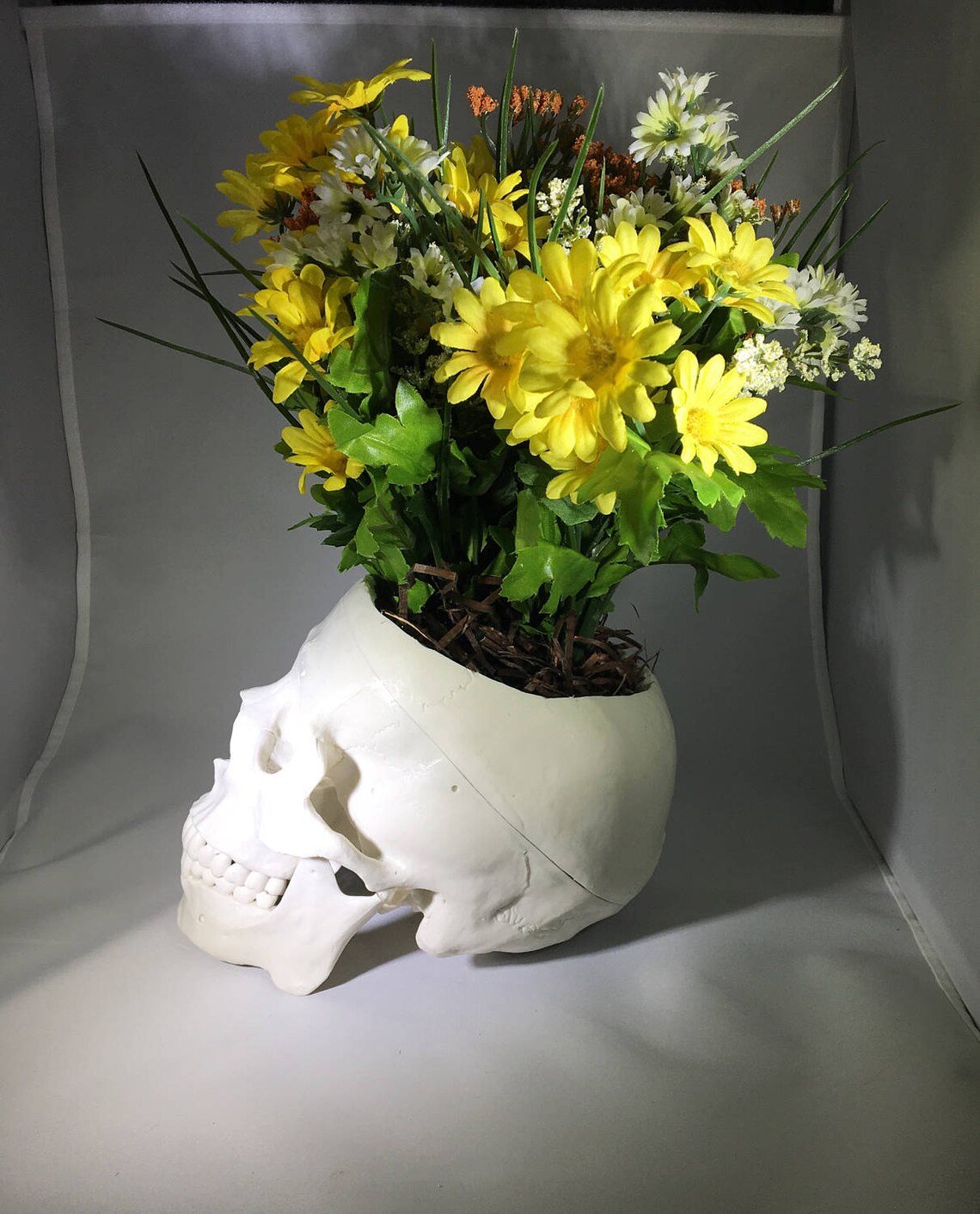 Skull Planter - Etsy