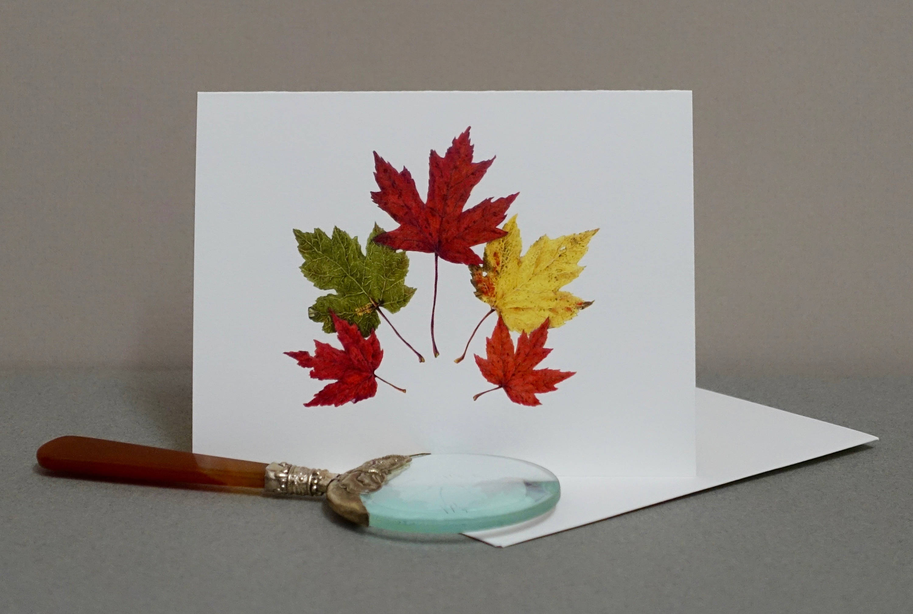 Set of 5 Note Cards Red Maple Leaf 4.25 x 5.5 - Etsy Nederland