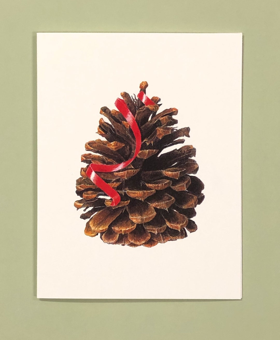 Note Card, Virginia Pinecone, 4 X 5.5 Card Matching Envelope - Etsy