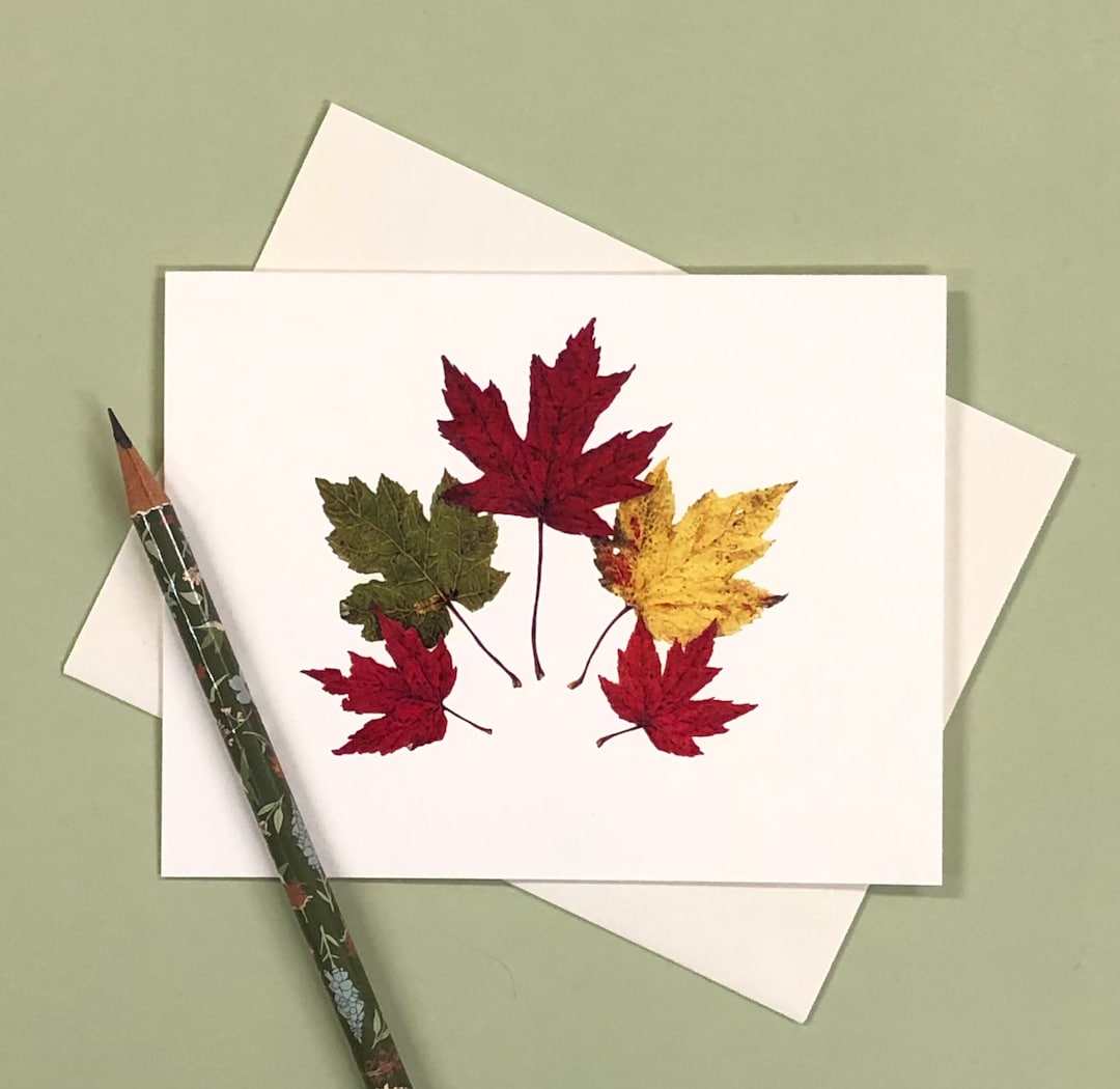 Set of 5 Note Cards, Red Maple Leaf, 4.25" x 5.5" Card + Matching ...