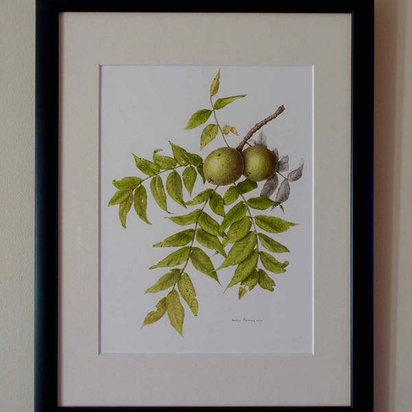 Black Walnut Wall Art - Etsy