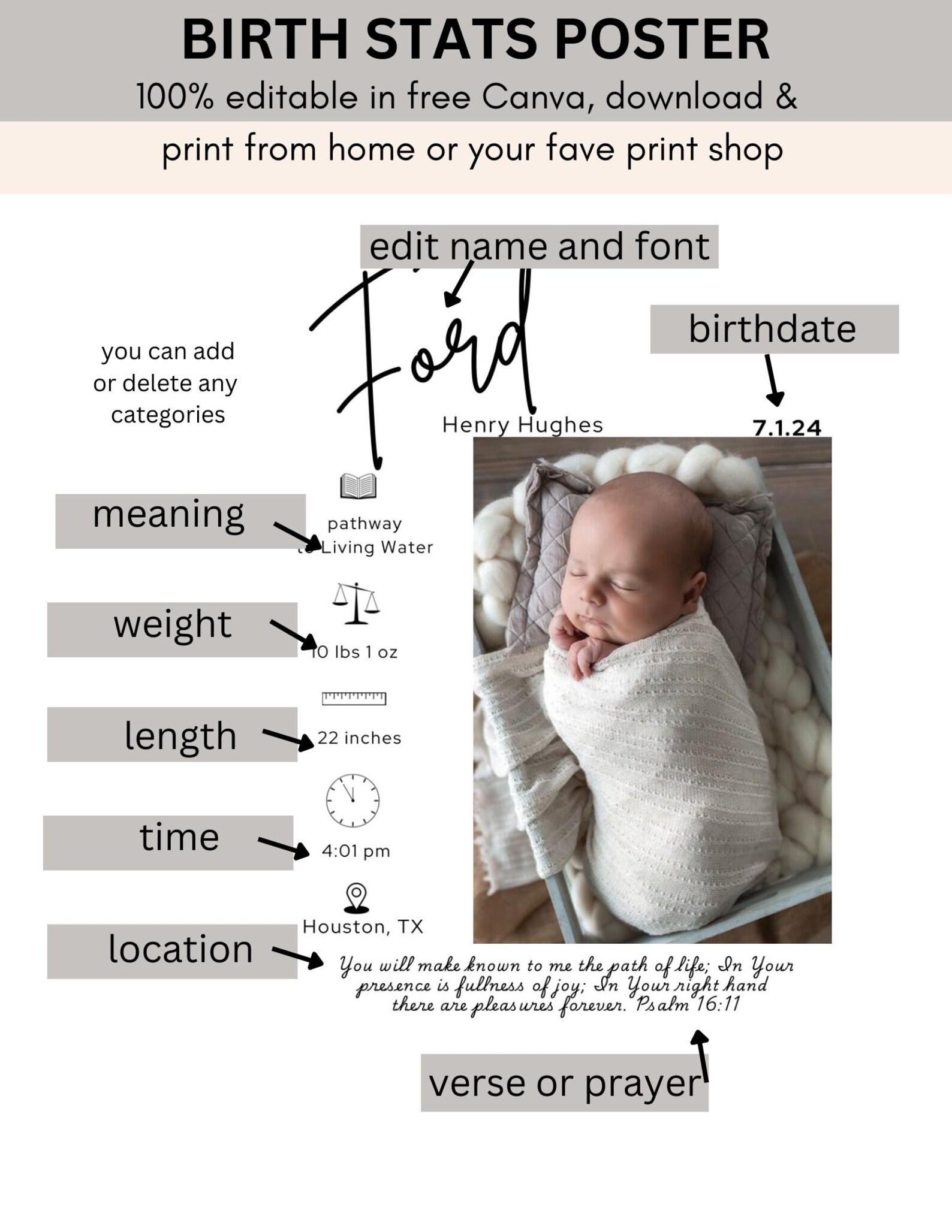 Editable Birth Stats Printable Poster | Custom Birth Stats Digital ...