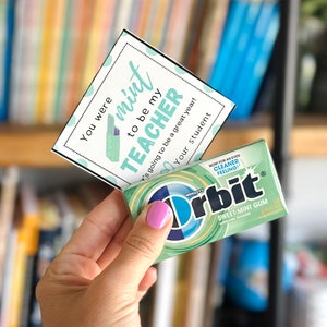Mint to Be Teacher Printable | First Day of School| Meet the Teacher ...