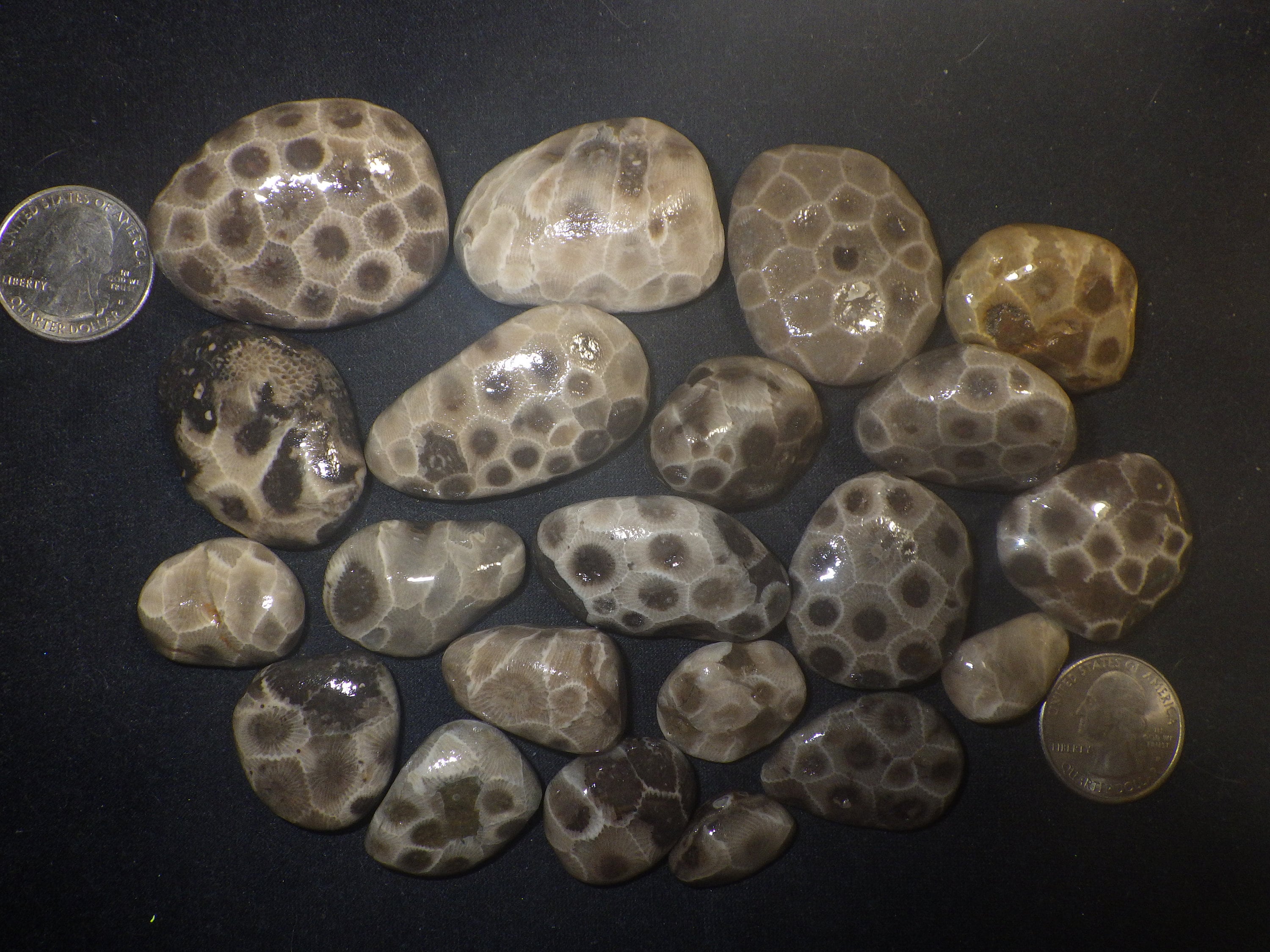 Unpolished Petoskey Stones Small Jewelry - Etsy