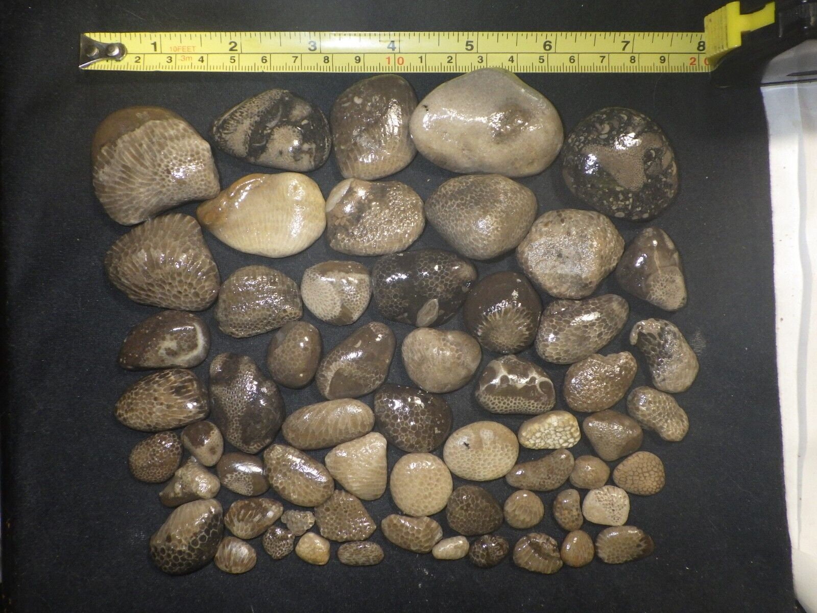 Charlevoix Stones - Etsy