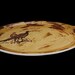 Robert Gordon Australian Pottery “wildlife” Platter – Large 24" Oval ...