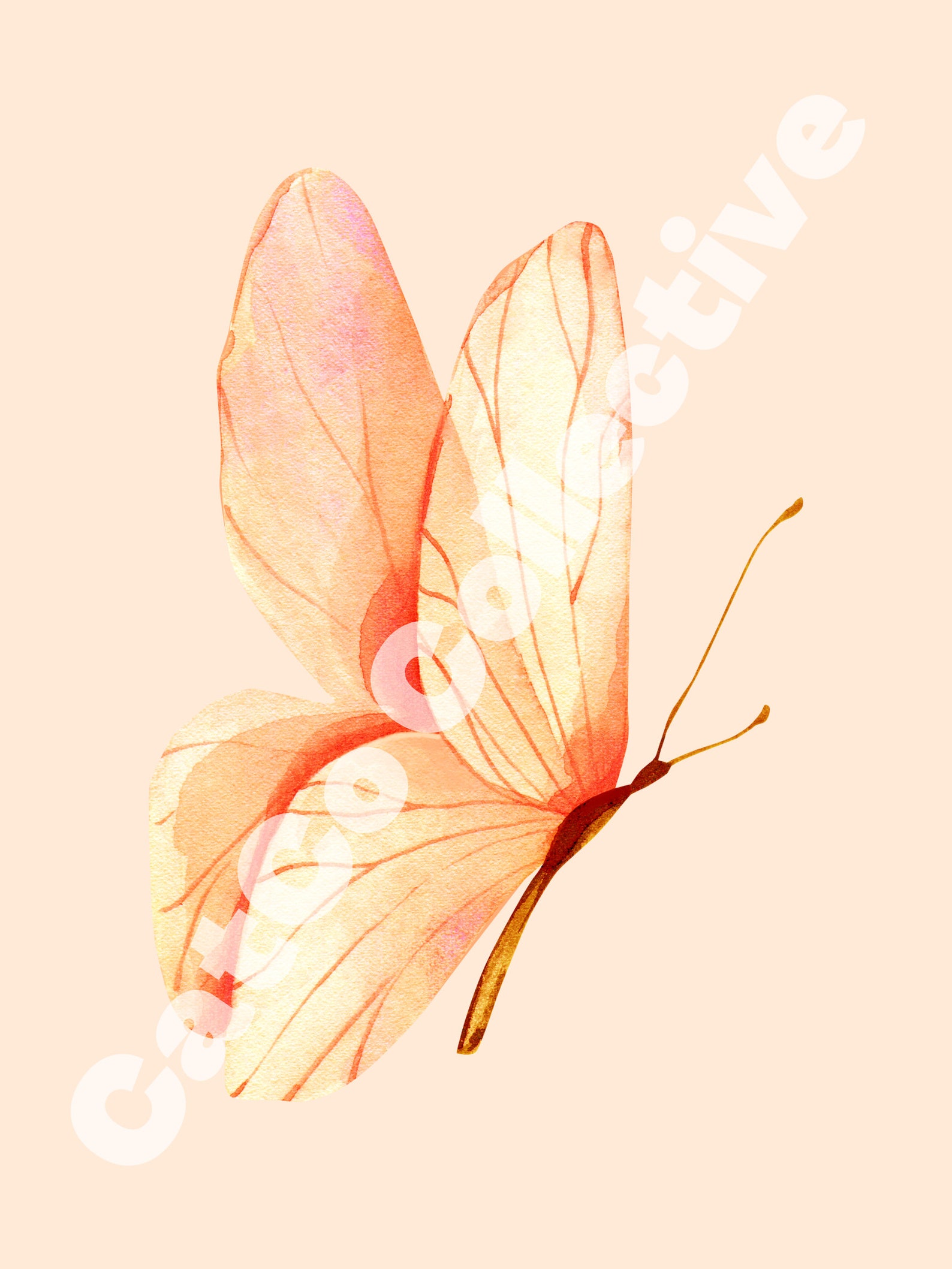 Mercer University Orange Aesthetic Digital Prints Set of 8 - Etsy